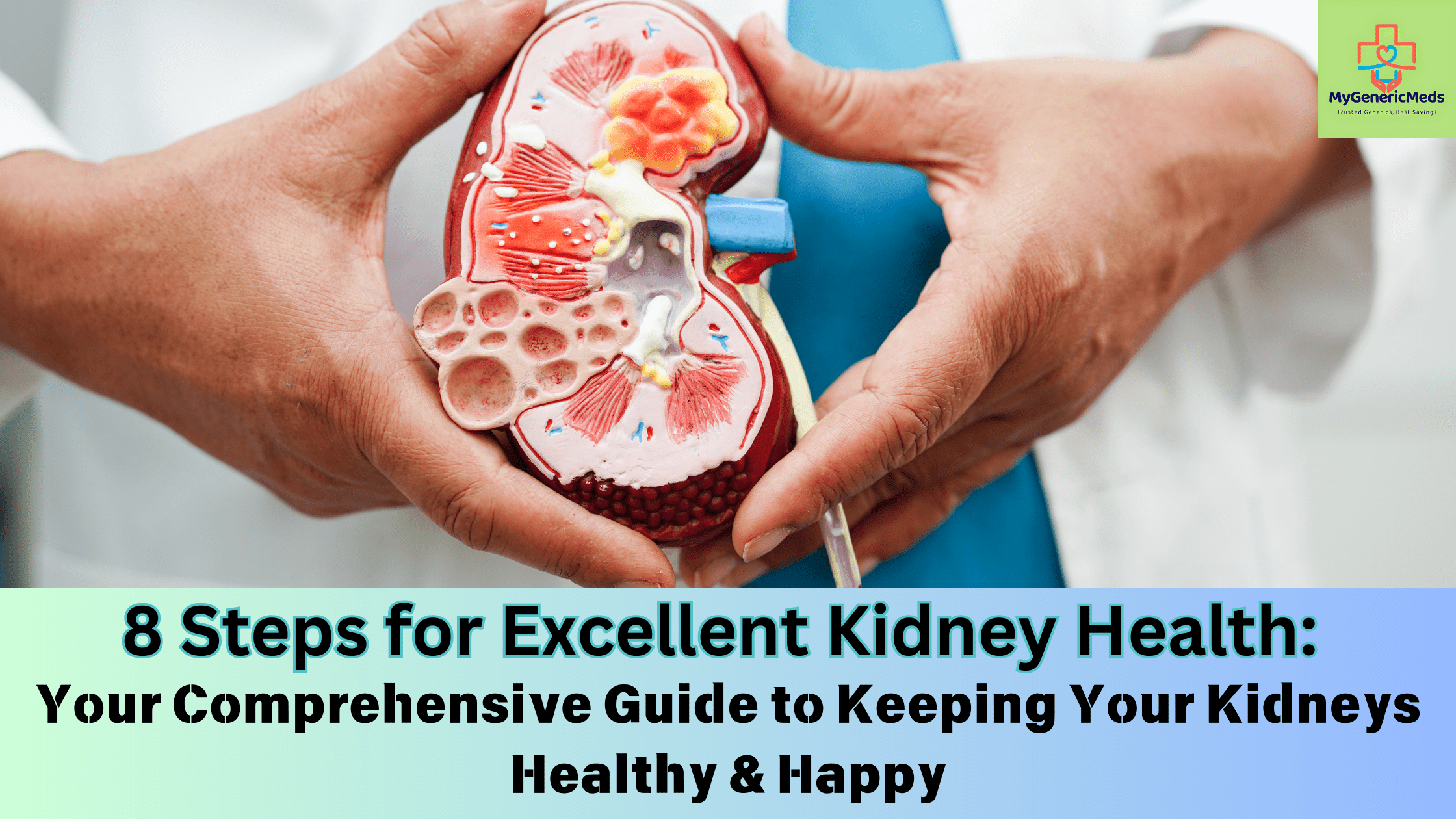8 Steps For Excellent Kidney Health: Your Comprehensive Guide To ...